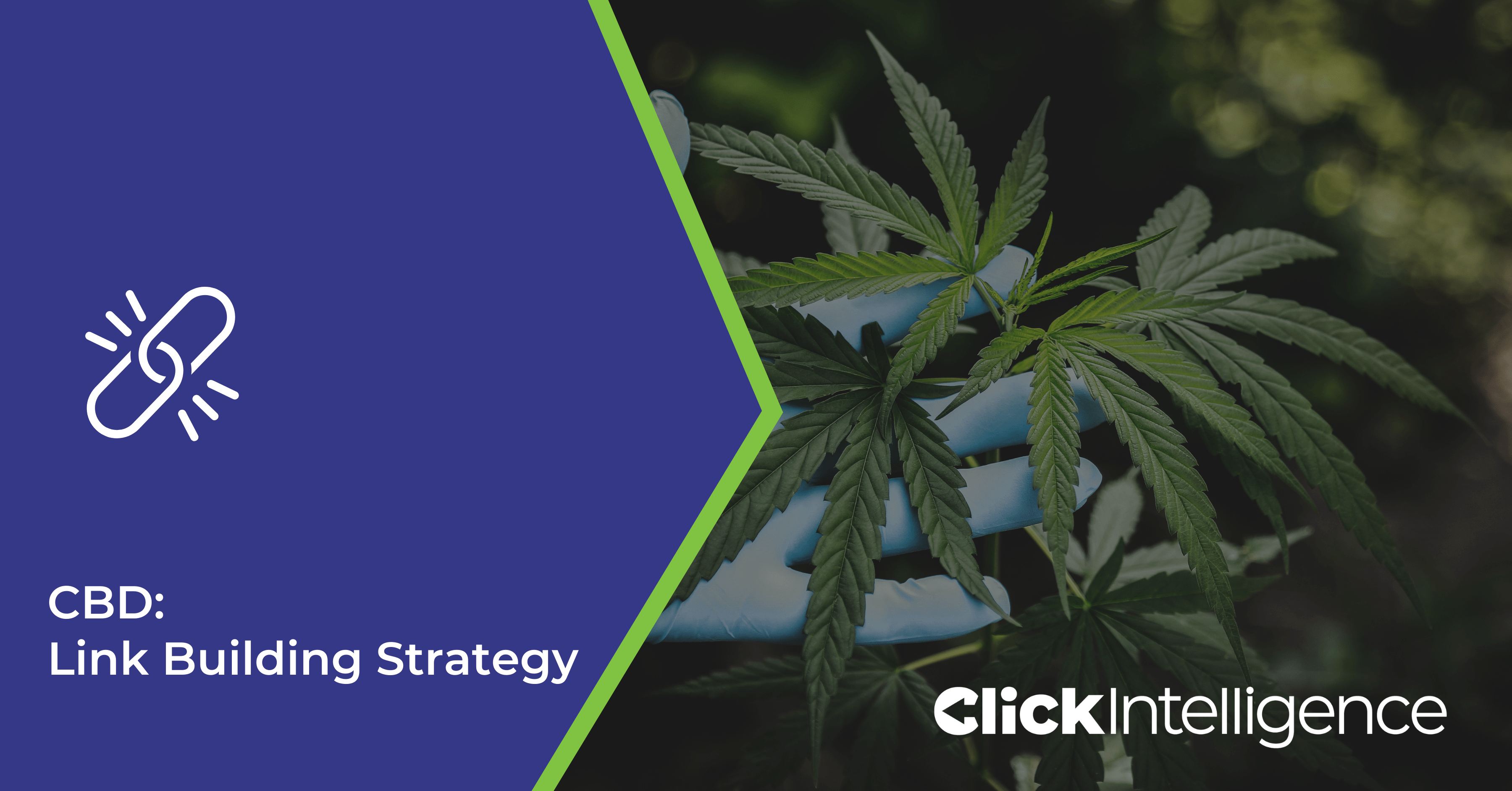 CBD Link Building Strategies - Click Intelligence